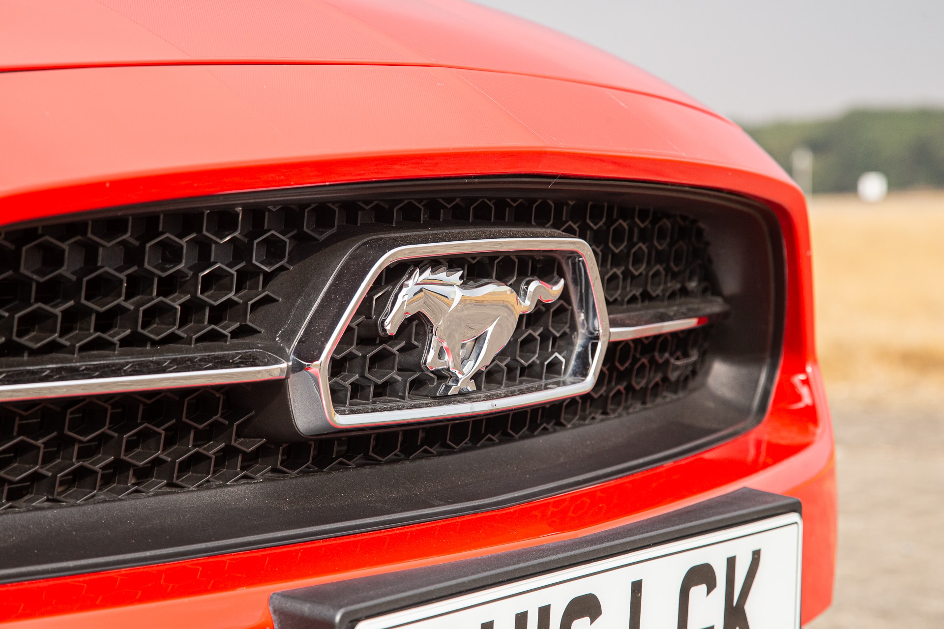 A Mustang Returns - Bridge Classic Cars